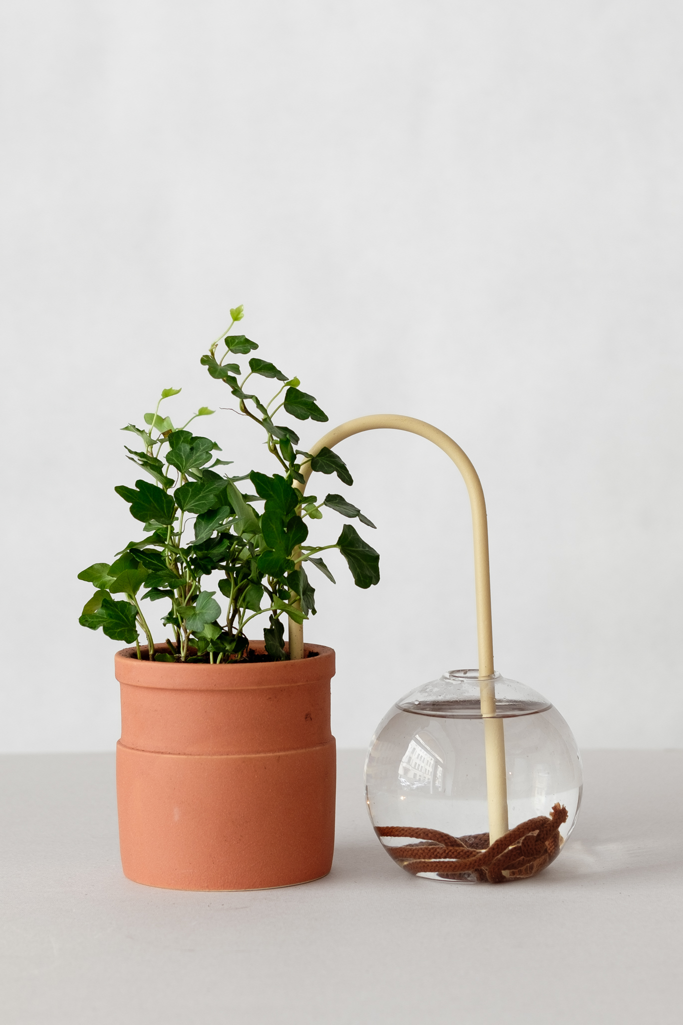 Plant Straws, cookie – Plant København